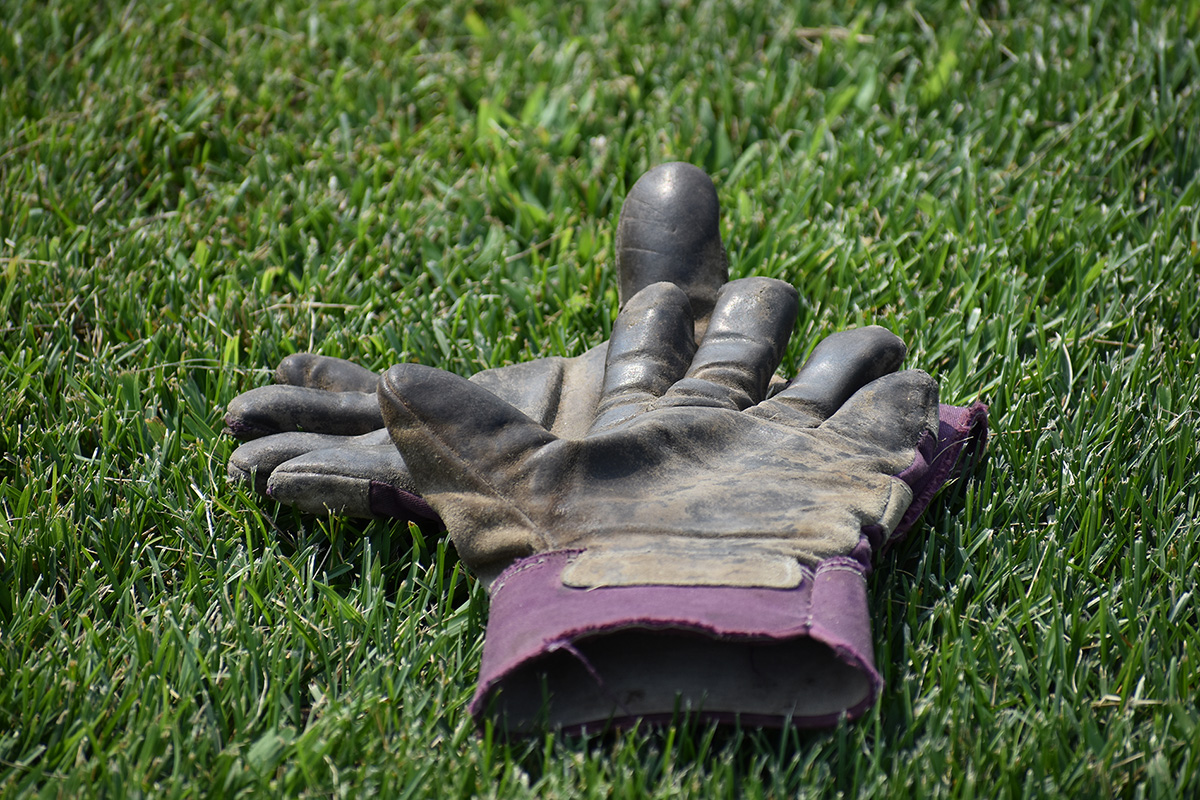 NTC Employee Volunteers Beautify Campus Grounds | News | Northwest ...